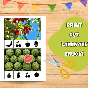 Montessori Printable Fruit Shadow Matching Toddler Cards Color Matching ...
