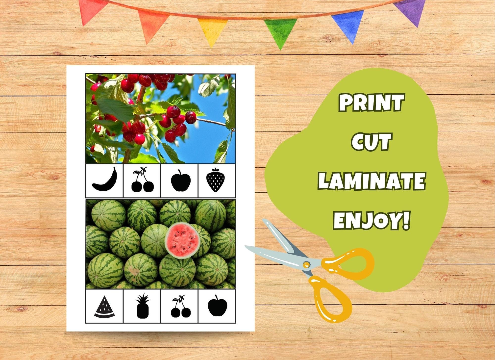 Montessori Printable Fruit Shadow Matching Toddler Cards Color Matching ...