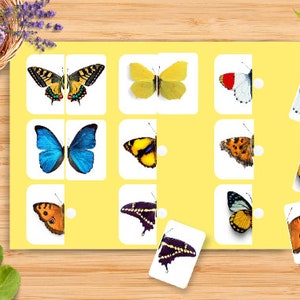 Montessori Butterfly Unit Study Busy Book Toddler Nature Activity Cards ...