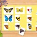 Montessori Butterfly Unit Study Busy Book Toddler Nature Activity Cards ...