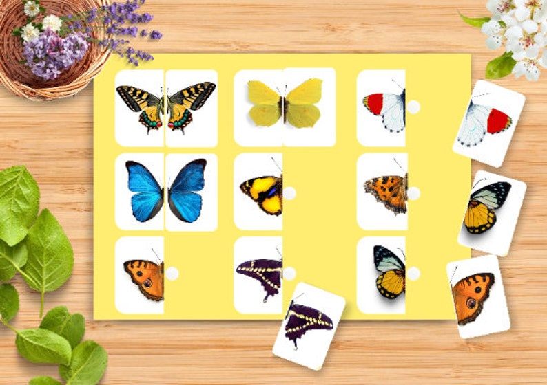 Montessori Butterfly Unit Study Busy Book Toddler Nature Activity Cards ...