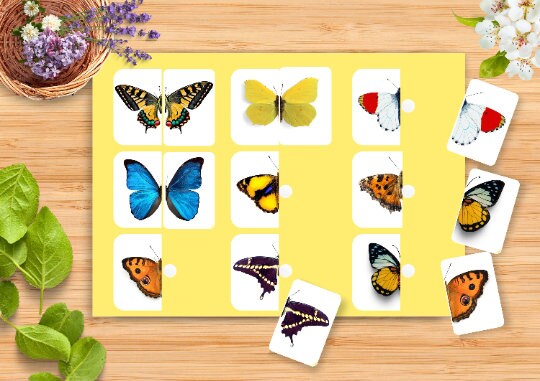 Montessori Butterfly Unit Study Busy Book Toddler Nature Activity Cards ...