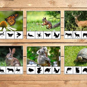 Montessori Printable Toddler Activity Matching Cards JPG Homeschool Pre ...