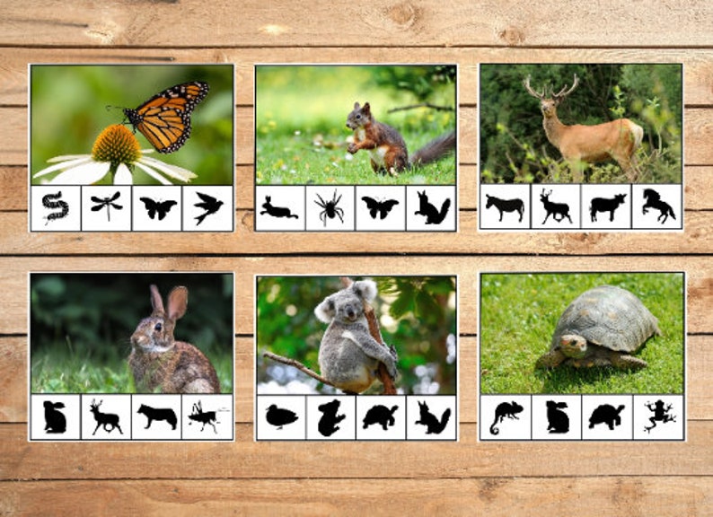 Montessori Printable Toddler Activity Matching Cards JPG Homeschool Pre ...