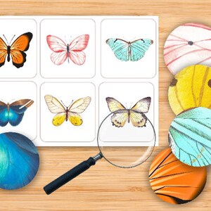 Montessori Butterfly Unit Study Busy Book Toddler Nature Activity Cards ...