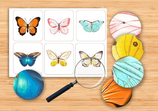 Montessori Butterfly Unit Study Busy Book Toddler Nature Activity Cards ...
