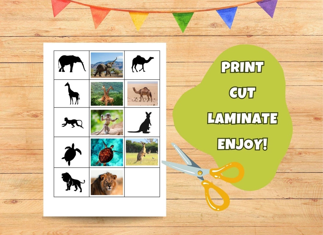 Montessori Printable Toddler Animal Shadow Matching Cards JPG - Etsy
