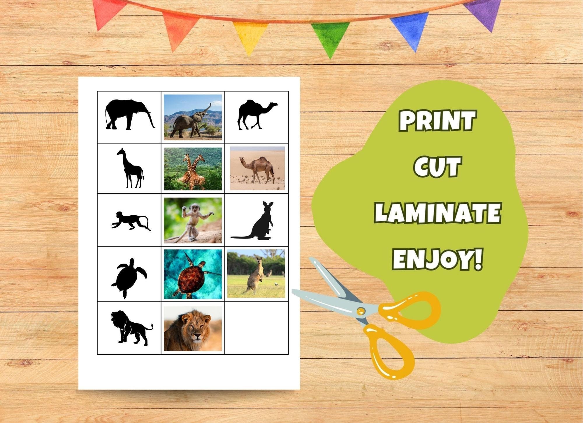 Montessori Printable Toddler Animal Shadow Matching Cards JPG ...