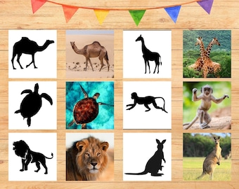 Montessori Printable Fruit Shadow Matching Toddler Cards Color Matching ...