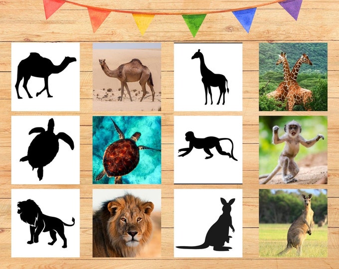 Woodland Animal Montessori Printable Shadow Matching Cards. Toddler ...