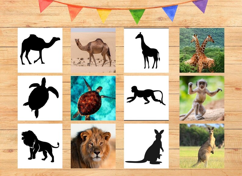 Montessori Printable Toddler Animal Shadow Matching Cards JPG ...