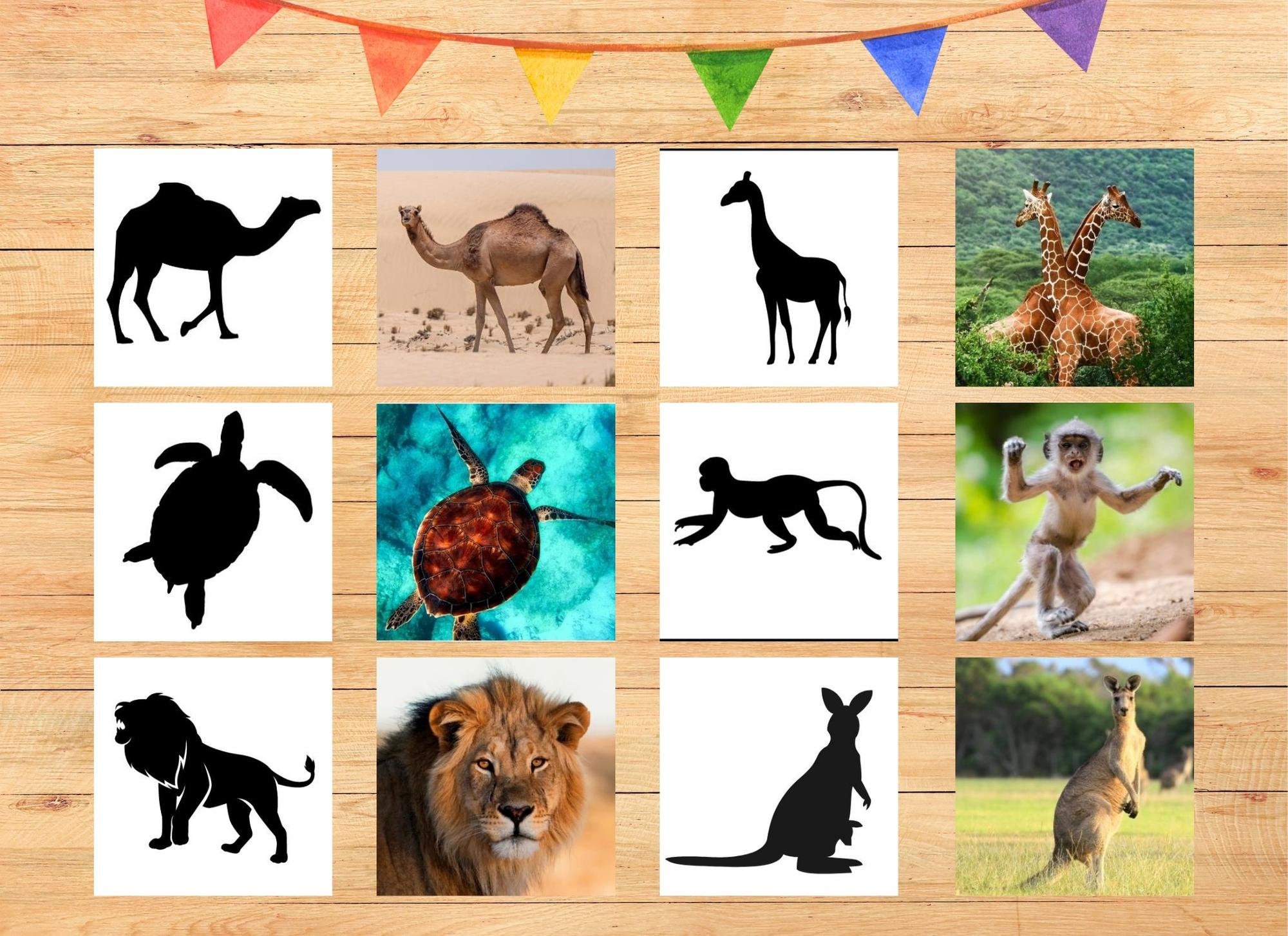 Montessori Printable Toddler Animal Shadow Matching Cards JPG ...