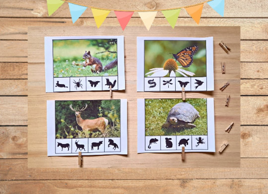 Montessori Printable Toddler Activity Matching Cards JPG Homeschool Pre ...