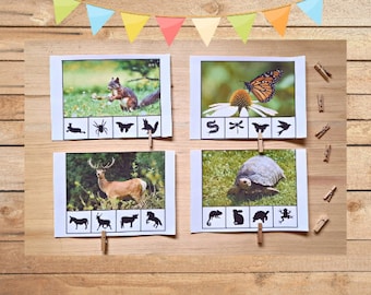 Montessori Printable Fruit Shadow Matching Toddler Cards Color Matching ...