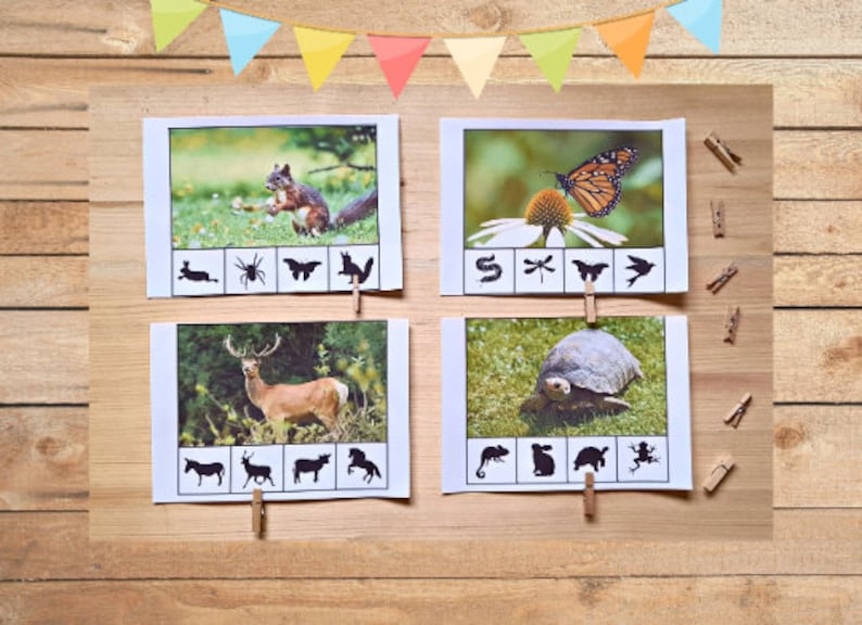 Montessori Printable Toddler Activity Matching Cards JPG Homeschool Pre ...