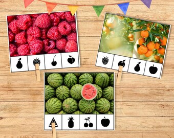 Montessori Printable Toddler Animal Shadow Matching Cards JPG ...