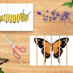 Montessori Butterfly Unit Study Busy Book Toddler Nature Activity Cards ...