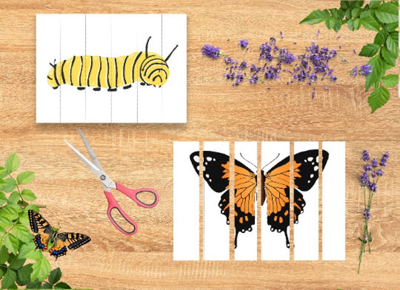 Montessori Butterfly Unit Study Busy Book Toddler Nature Activity Cards ...