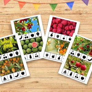 Montessori Printable Fruit Shadow Matching Toddler Cards Color Matching ...