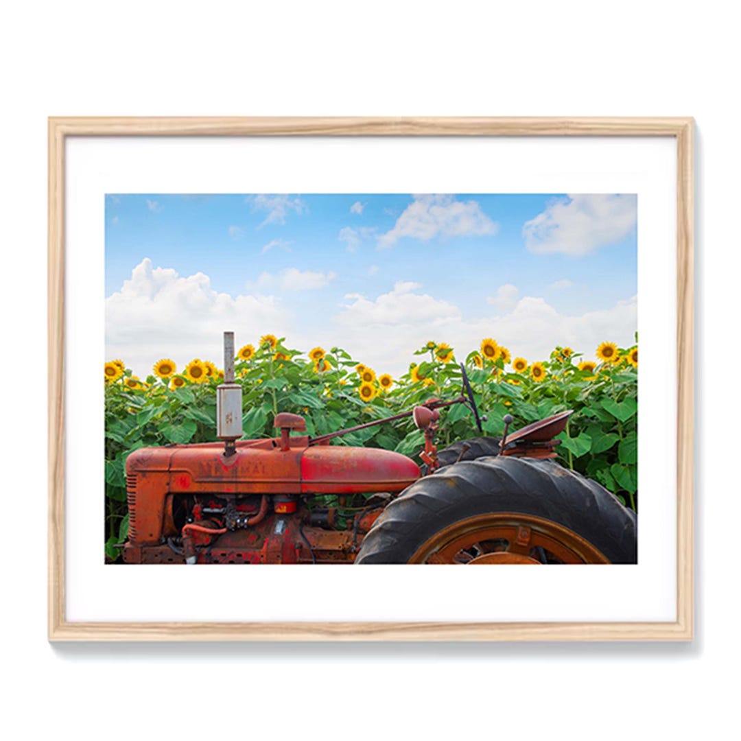 Sunflower Tractor Country Wall Art Print by Hallie Bear Photo Art - Etsy