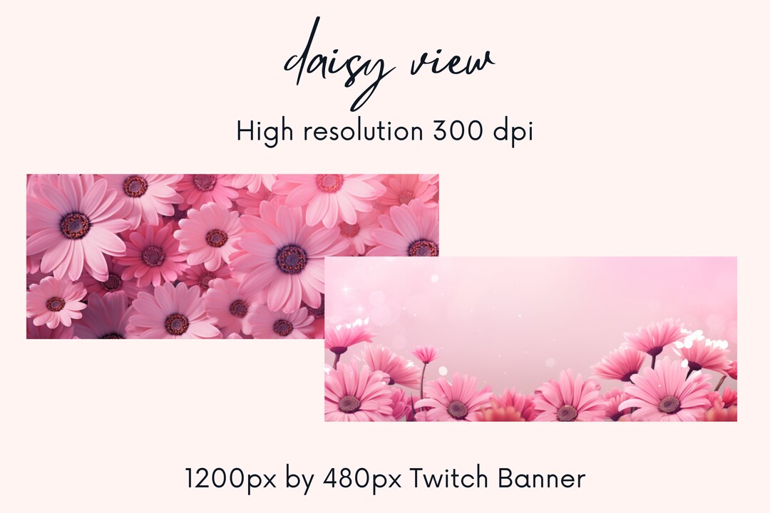 Daisy Twitch Banner| Twitch Background| Multicolor Gradient| Twitch ...