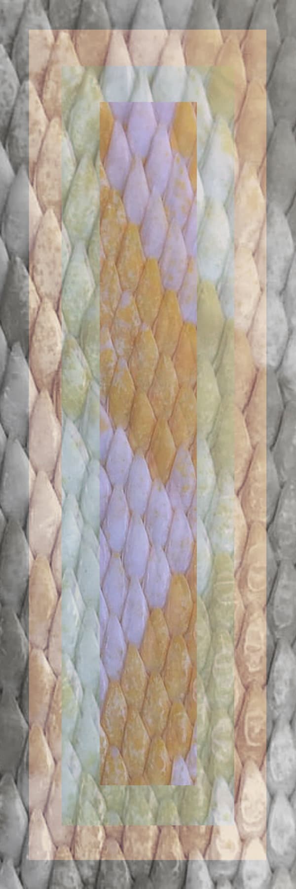Snake Skin Design/visuals Package 1 - Printable Bookmark Set, Digital ...