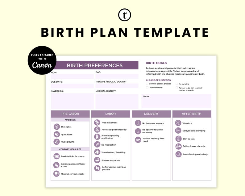 Birth Plan Template | Birth Plan, Birth, Birth Plan Doula, Visual Birth ...
