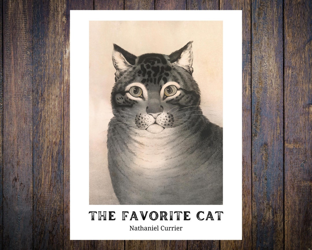 The Favorite Cat by Nathaniel Currier 1838-48. Vintage Home Decor Wall ...