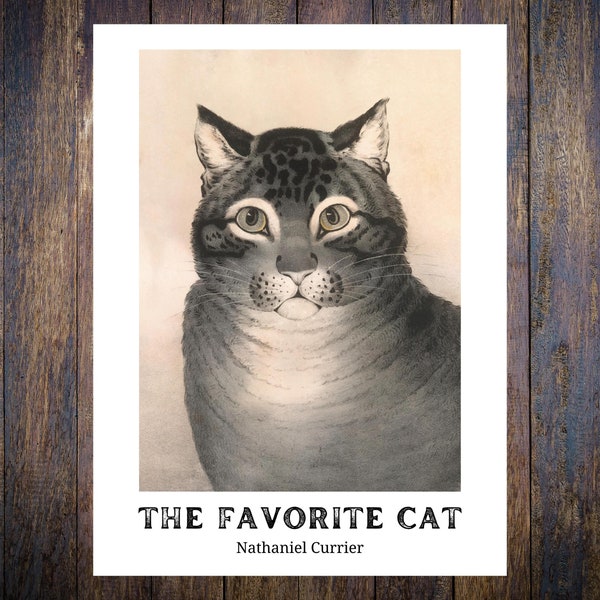 Cat Home Decor - Etsy