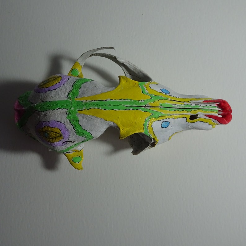 LSD Canned Fish Fox Skull Outsider Art Brut Outsider Abstract Art ...