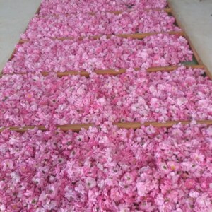 Bulk Dried Damascus Rose Buds Petals and Powder, Wholesale Damascus ...