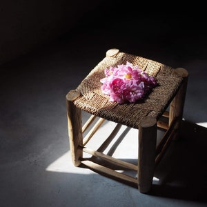 Bulk Dried Damascus Rose Buds Petals and Powder, Wholesale Damascus ...