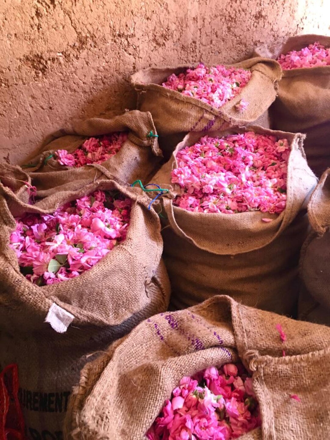 Bulk Dried Damascus Rose Buds Petals and Powder, Wholesale Damascus ...