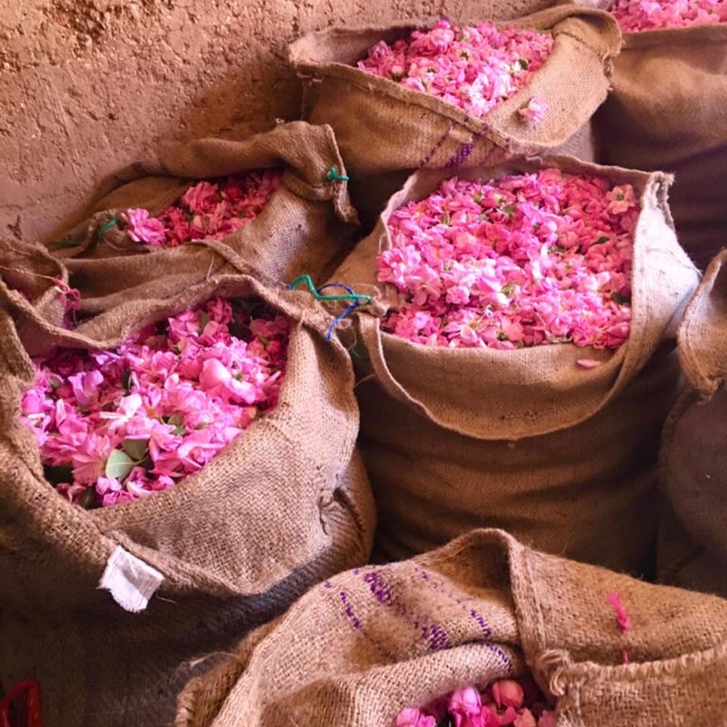Bulk Rose Petals - Etsy