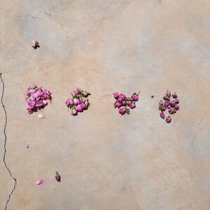 Bulk Dried Damascus Rose Buds Petals and Powder, Wholesale Damascus ...