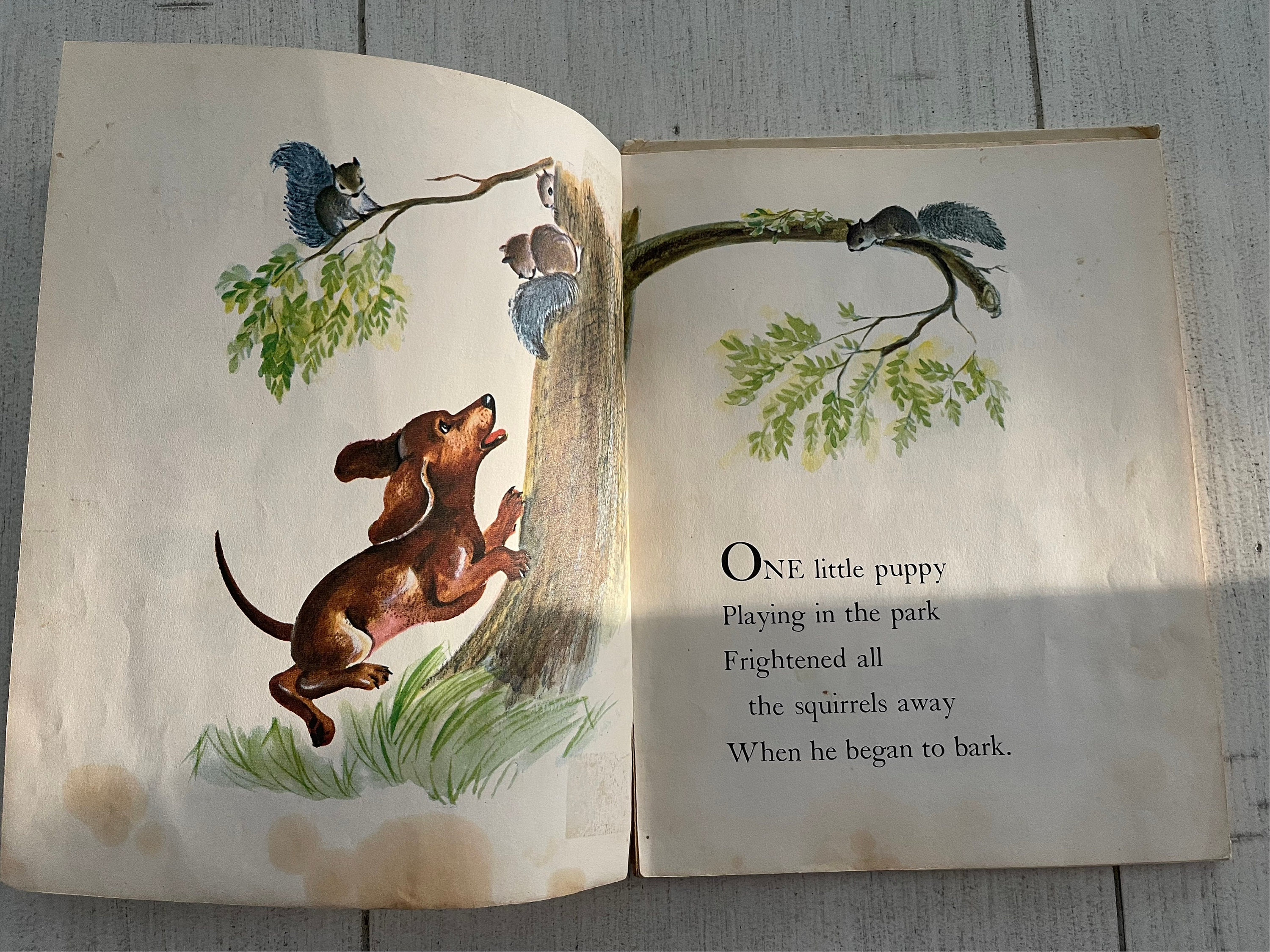 Count the Puppies Vintage 1966 Book / Carolyn Dee / Illustrated Mary ...