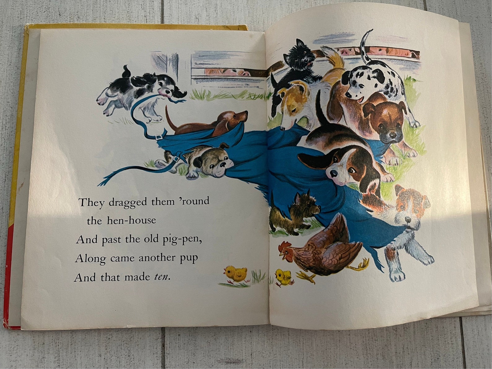 Count the Puppies Vintage 1966 Book / Carolyn Dee / Illustrated Mary ...