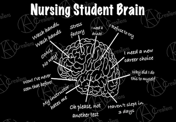 Nursing Student Brain PNG Design - Etsy