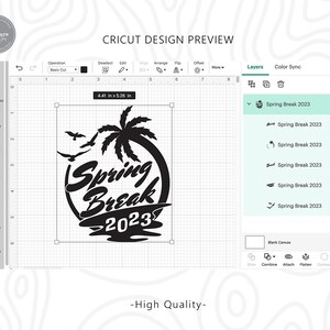 Spring Break 2023 Svgspring Svgbest Friends Svggirls Trip - Etsy