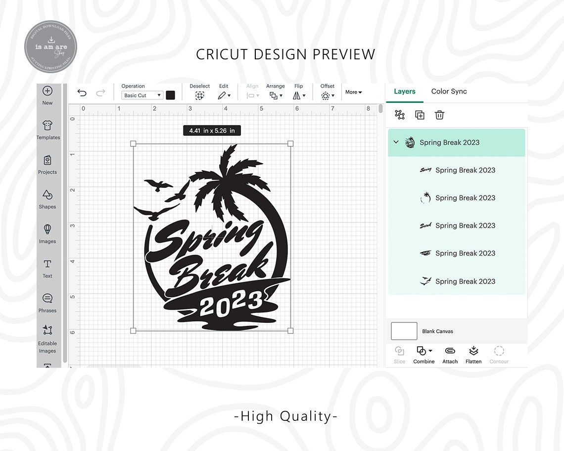 Spring Break 2023 Svgspring Svgbest Friends Svggirls Trip - Etsy