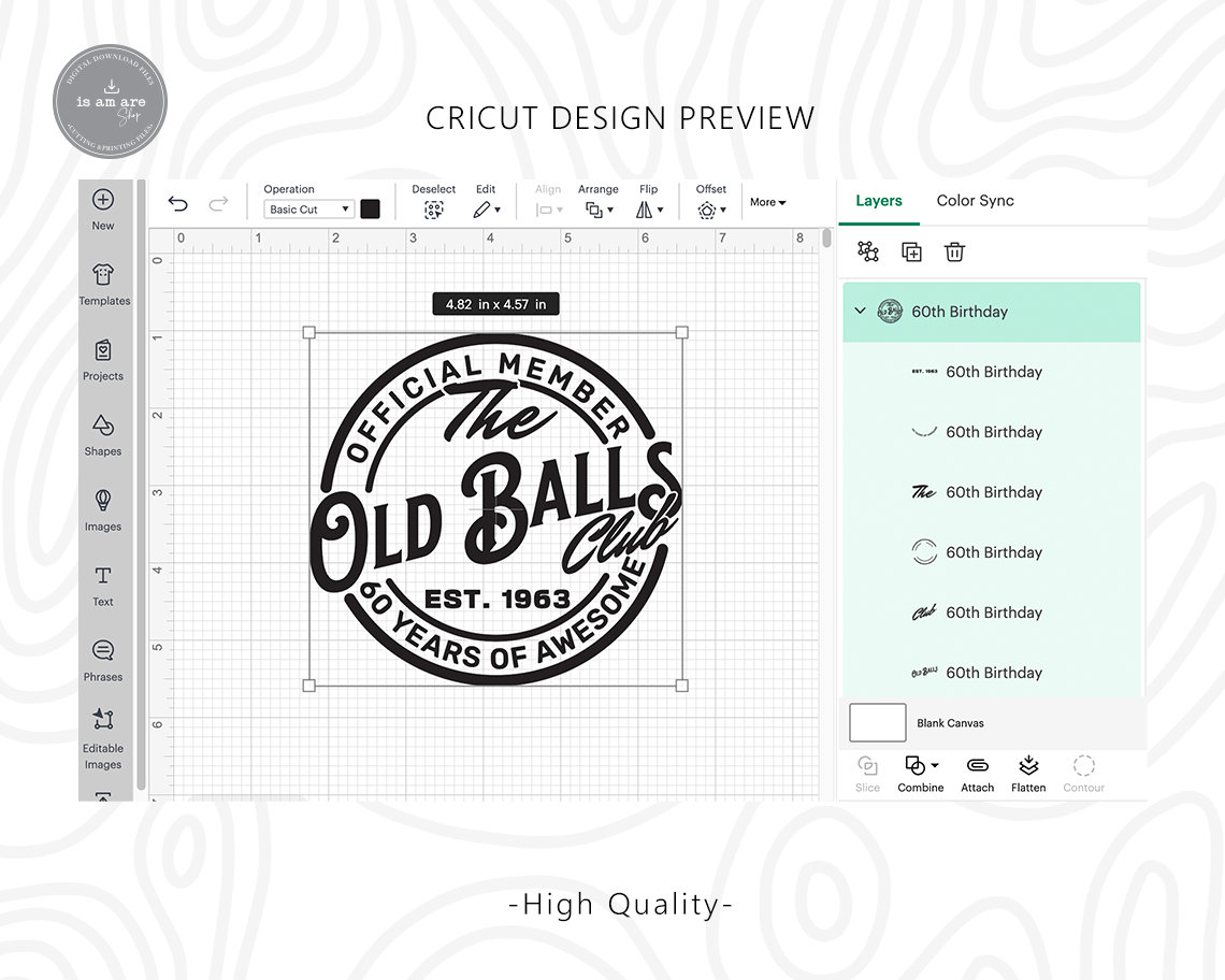 60th Birthday SVG Official Member the Old Balls Club Est - Etsy