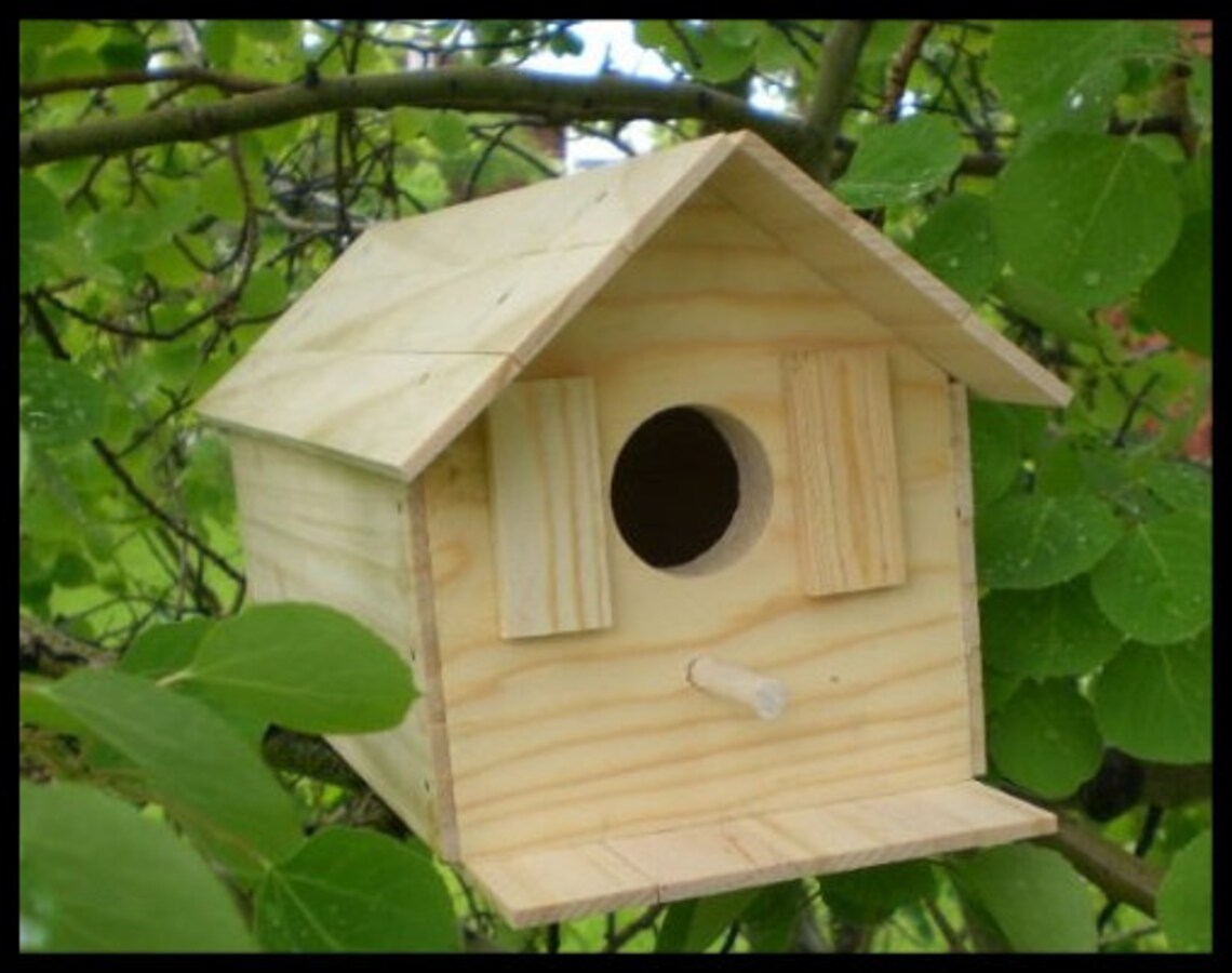 Wood Bird House Kit Complete With Nails DIY Wooden Project - Etsy
