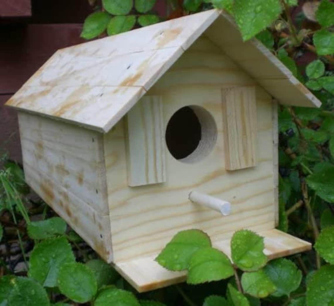 Wood Bird House Kit Complete With Nails DIY Wooden Project - Etsy