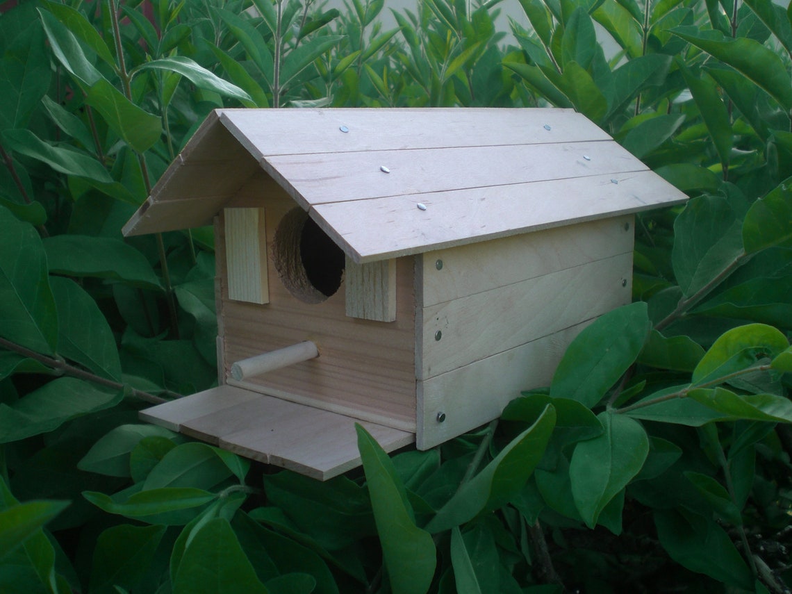Wood Bird House Kit Complete With Nails DIY Wooden Project - Etsy