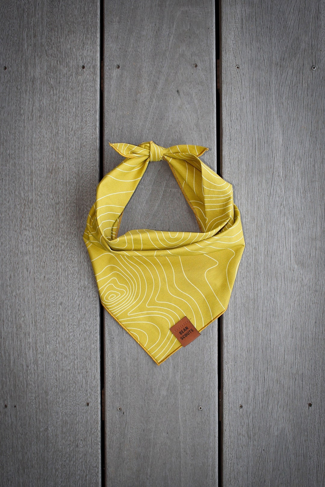 Rise & Climb Dog Bandana | Hiking Dog Bandana | Tie on Bandana - Etsy