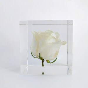 Real White Rose Cube, Forever Rose Crystals Keepsake, Resin Paperweight ...