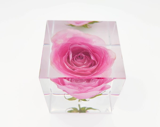 Real Pink Rose Cube, Forever Rose Crystals Keepsake, Resin Paperweight ...