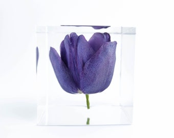 Real Tulip Cube, Tulip Ornament, Resin Paperweight, Gift for Her, Gift ...