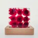 Real 9 Red Roses Night Light, Real Rose Lamp, Real Rose Resin Block ...