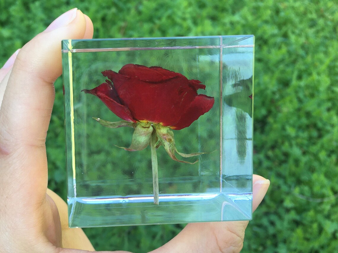 Real Red Rose Cube Forever Rose Crystals Keepsake Resin - Etsy
